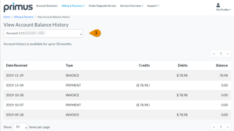 View account balance history